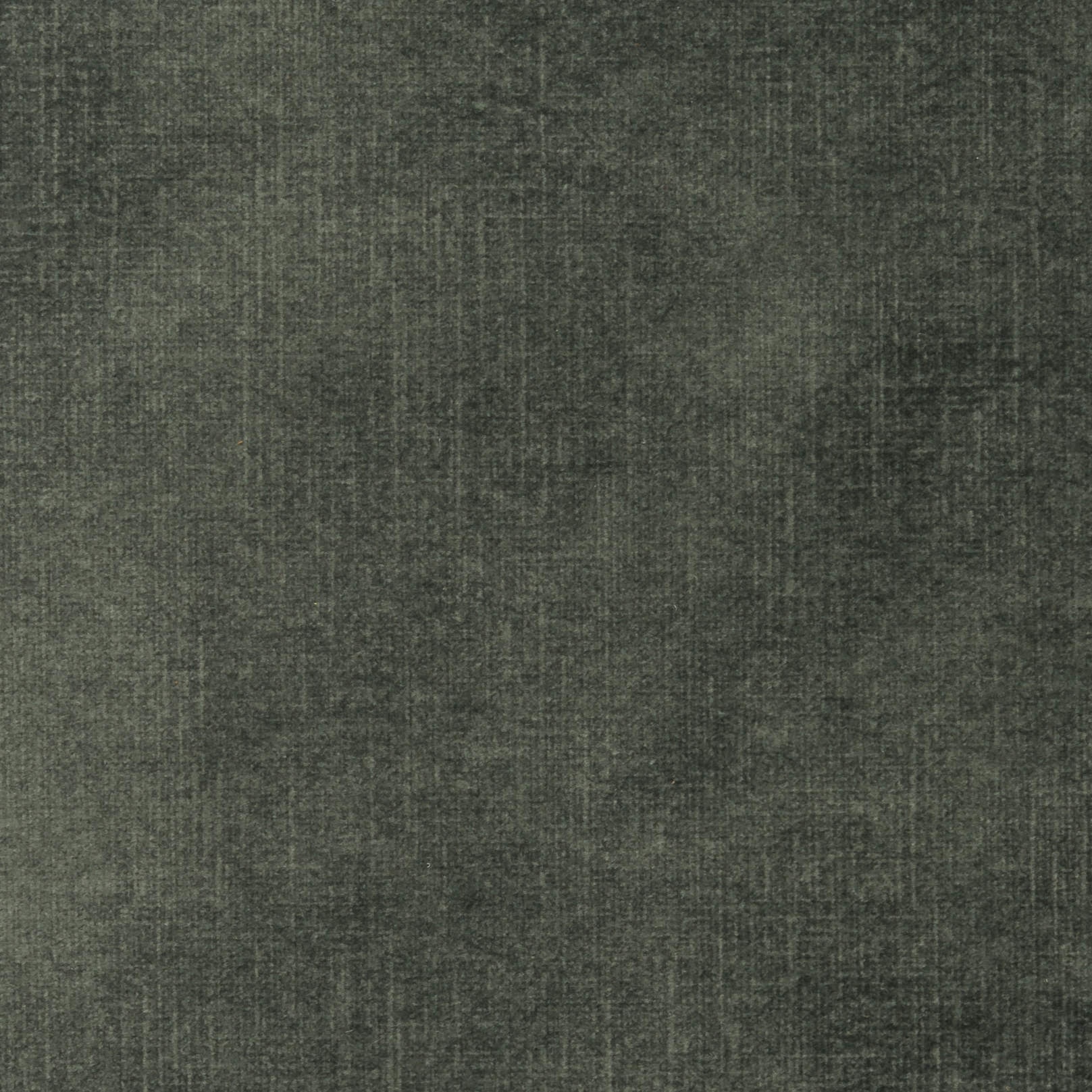 Macau Forest – Cabeceiras.pt